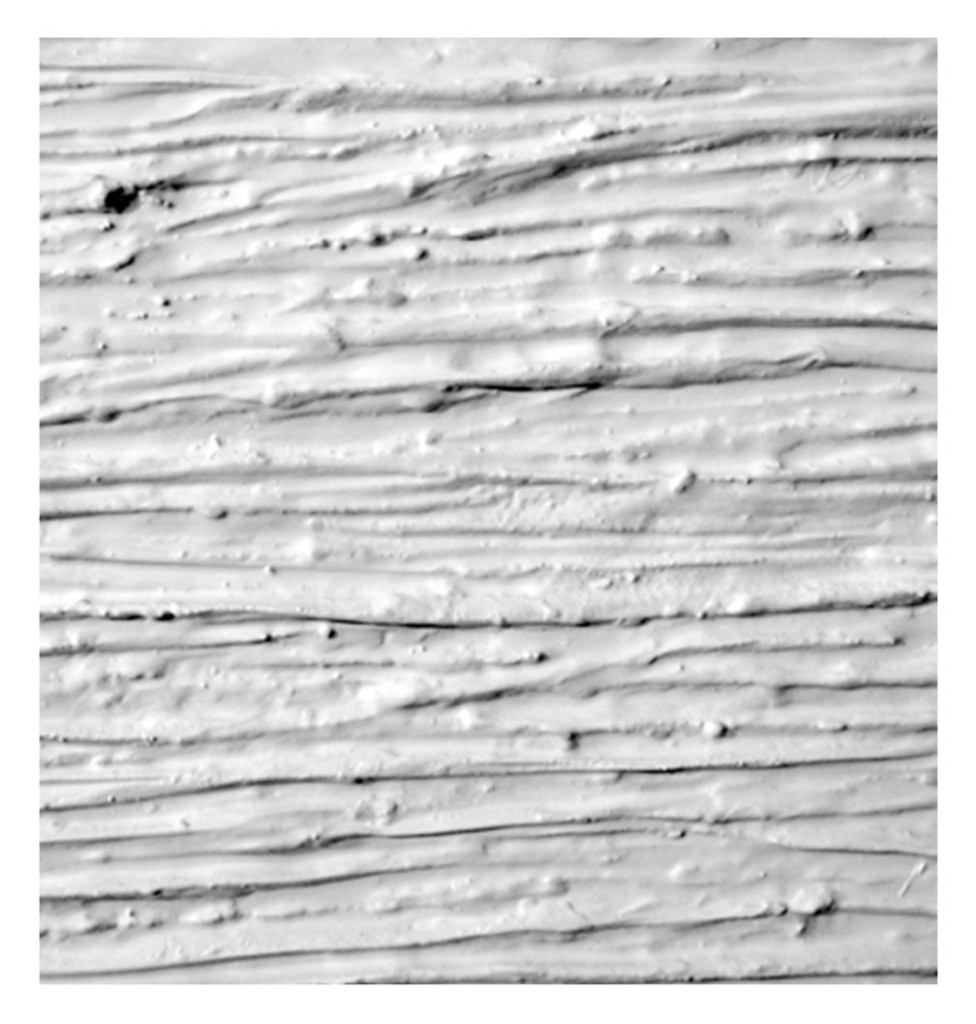 #40 - Short Tree Bark - Provost Fabrication