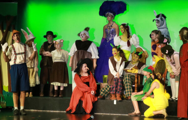 Shrek Jr. Costume Rental | Outfits For All Shrek Jr. Characters